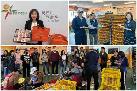 番路「頂尖筆柿餅」126上市 籲民把握選購柿餅良機 蕃新聞