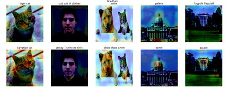visualizing convolutional neural network cnn feature maps