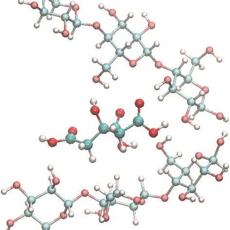 Simulated Intercalation Of Citric Acid Between Adjacent Cellulose