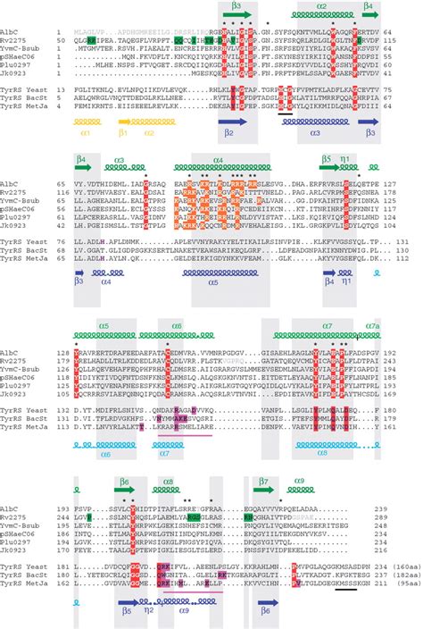 Structure Based Sequence Alignment Of Six Cdpss And Three Tyrrss From