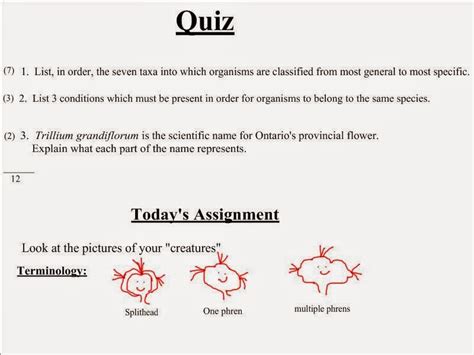 11 Biology Dichotomous Keys