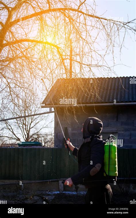 Spray Pesticides Pesticide On Tree Defocus Farmer Man Spraying Tree With Manual Pesticide