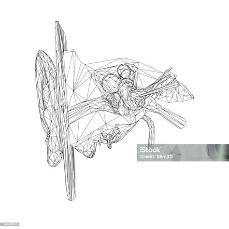 흰색 배경에 고립 된 검은 선에서 청력 기관의 내부 구조가있는 인간의 귀의 와이어 프레임 정면보기 3d 벡터 일러스트레이션 3