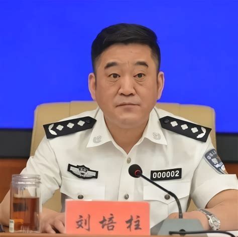 检察长刚落马，省公安厅常务副厅长也被查了凤凰网