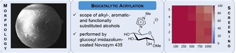 Excellence In Acrylation Scope And Limitation Of Glucosyl Imidazolium‐coated Novozym 435