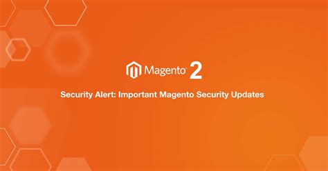 magento commerce strategy creative development support zynovo