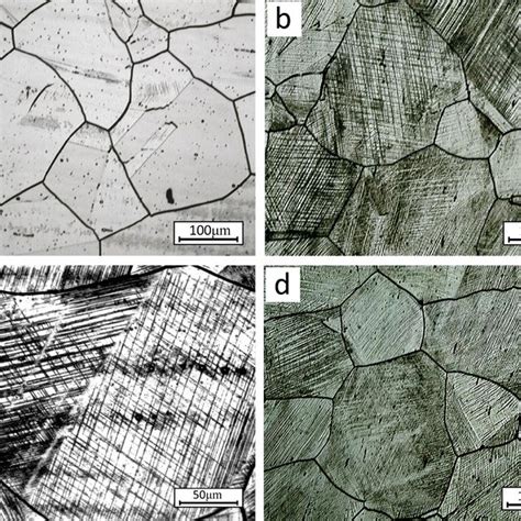 Pdf Microstructure Evolution Of An Austenitic Stainless Steel Severely Deformed By The
