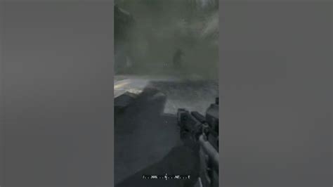 Call Of Duty 4 Last Mission Shorts Modernwarfare