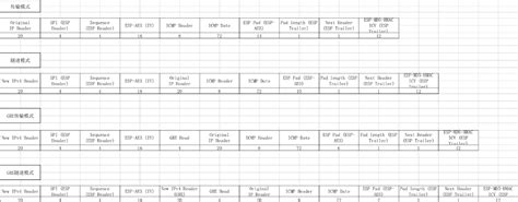 CCIE Cisco安全CCNAGRE Over IPSec VPN