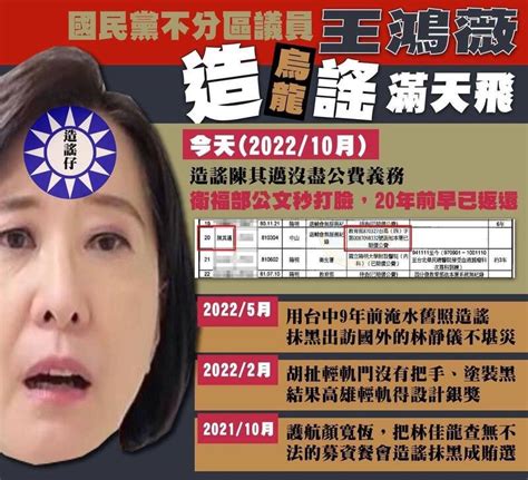批王鴻薇造謠是「烏龍薇」 許智傑︰若選上多一個唱衰高雄立委 政治 自由時報電子報