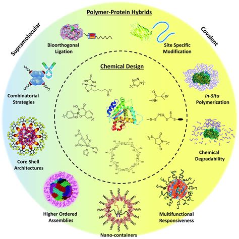 Natural Polymers Proteins