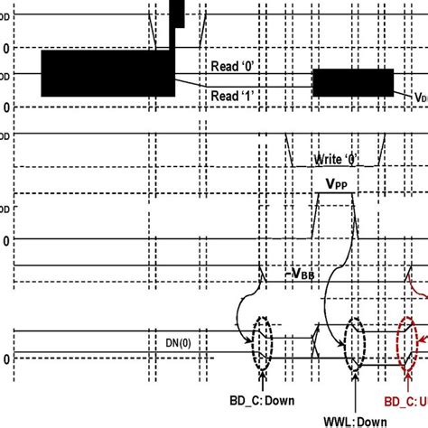 proposed 2t gain cell schematic layout and its device cross sectional download scientific