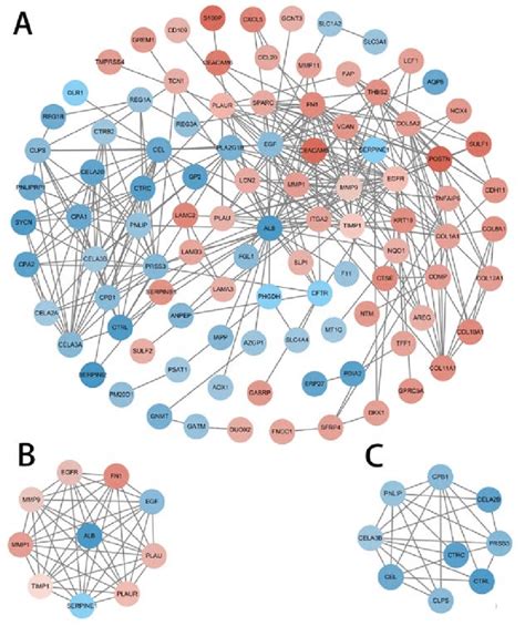 Ppi Network Of Degs The Mcode Algorithm Was Applied To This Network To Download Scientific Ppi Network Of Degs The Mcode Algorithm Was Applied To This Network To Download Scientific