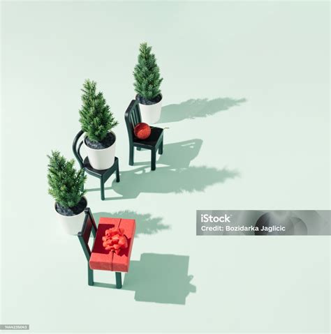 크리스마스 트리 빨간색 선물 상자 밝은 녹색 배경에 검은색 의자에 있는 크리스마스 싸구려 최소한의 새해 개념입니다 겨울 휴가 미학 햇빛 그림자가있는 창의적인 구성 모던