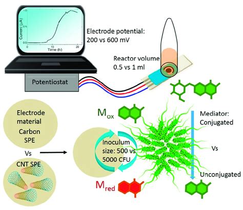 Conceptual Experimental Approach Applied In The Design Of Experiments Download Scientific