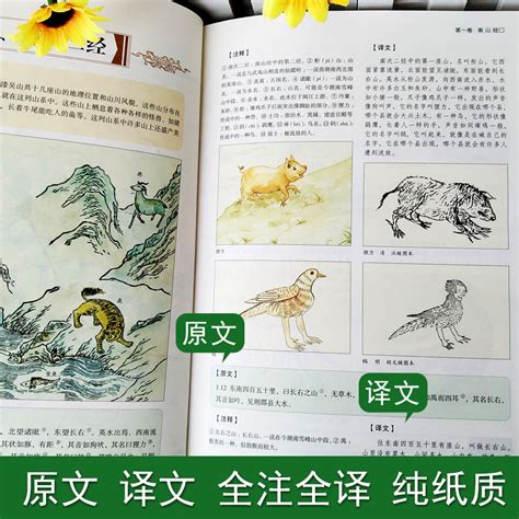 山海经彩绘版原著正版原文注释译文解读全集正版无删减图文结合白话文儿童版小学生初高中青少年版图解山海经全译插画国学经典书虎窝淘