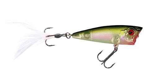 Beating The Banks Best Topwater Bass Fishing Lures And Secrets