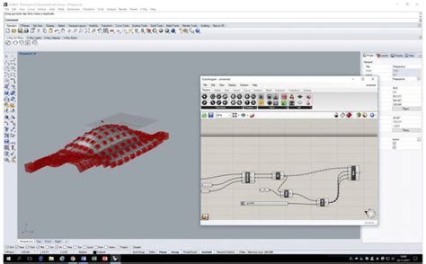 V Raygrasshopper Seminar 7 Charlotte Harris