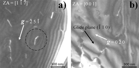 Shows Two Populations Of Dislocations Which Exhibit Different Download Scientific Diagram