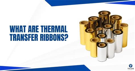 Gtin Vs Sscc Key Differences Explained