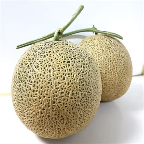 달콤한 머스크메론 2 2kg 내외 중대과 1통 2통 실중량 티몬