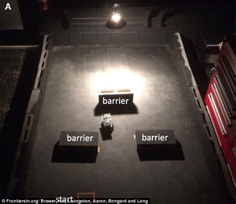 Robots Exchange Genetic Material To Evolve Daily Mail Online