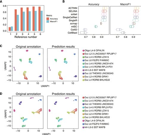 Single Cell Assignment Using Multiple Adversarial Domain Adaptation Network With Large Scale