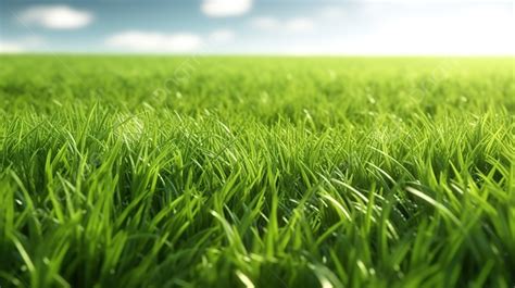 illustration of 3d rendered green grassy field background green grass
