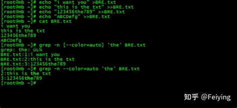 第八天 Linux正则表达式 知乎