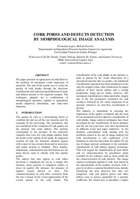 Pdf Cork Pores And Defects Detection By Morphological Image Analysis