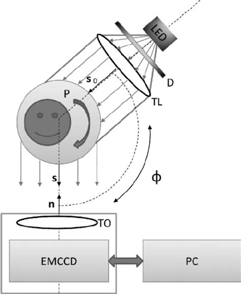 Diagram Showing Orientation And Geometry Of Inclusions A Highly