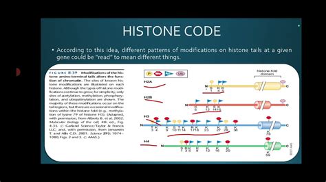 Histone Code Molecular Biology M Sc Botany Malayalam Youtube