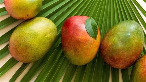 National Mango Board Names Retailer Of The Year The Packer Fruit