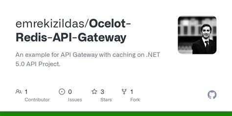 ocelot redis api gateway net5 webapplication net5 webapplication csproj