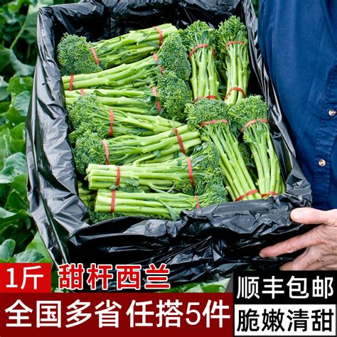 甜杆西兰花图片 甜杆西兰花和西兰苔 大山谷图库