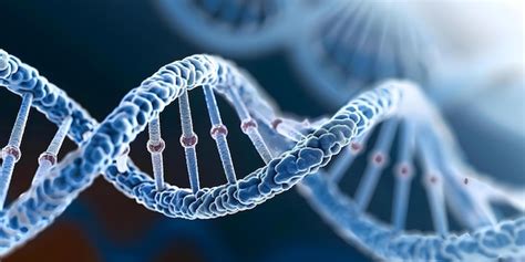 Dna Replication A Closeup Illustration Of Genetic Inheritance In Molecular Biology Concept