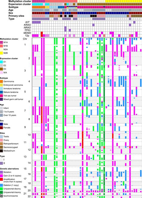 Significant Somatic Mutations Focal Copy Number Alterations And