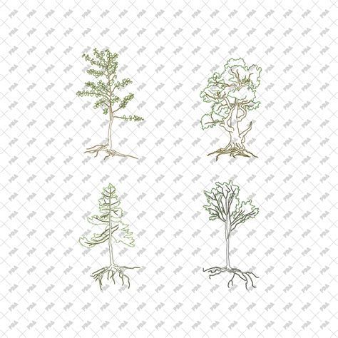 Cad Vector Trees With Roots In Color And B W