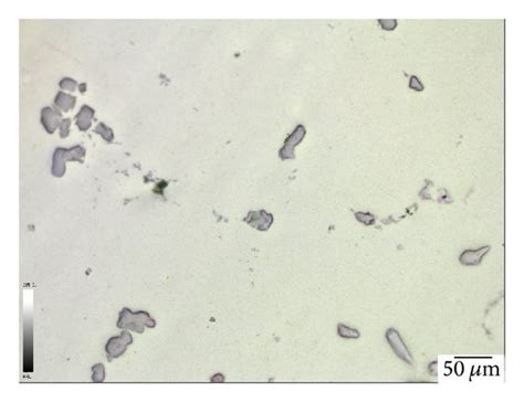 Microstructure Of Samples Thixoforged Of The Al4 8 Wt Cu Alloy A F S Download Scientific