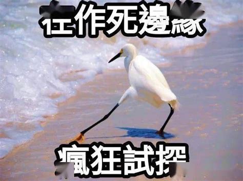 知乎上有人问闲鱼上买全新akg c414靠谱吗 愤怒的调音师 搜狐大视野 搜狐新闻
