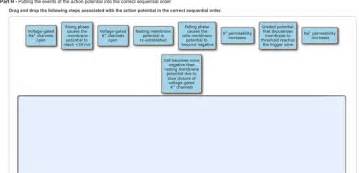 solved putting the events of the action potential into th