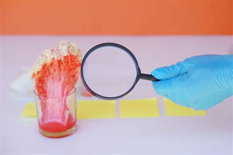 Concept Science Lesson Activity Easy Experiment For Learning Stock Image Image Of Concept