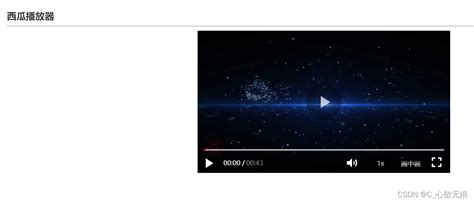 Vue 使用xgplayer西瓜播放器插件教程c心欲无痕的博客 Csdn博客xgplayer