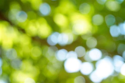 Abstract Spring Defocused Background Nature Backgrounds Green Nature