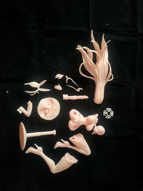 NSFW Resin Kit Sexyasuna Etsy