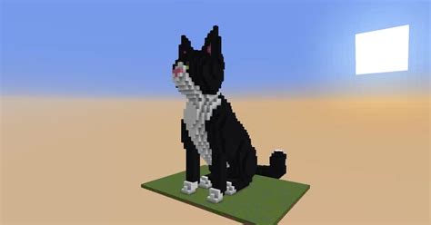Tuxedo Cat Minecraft Map