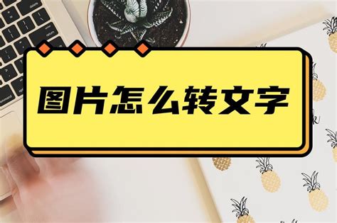 怎么把图片转换成文字？分享几种图片转文字小技巧 哔哩哔哩