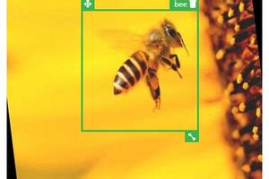 SmartBox Storage With Face Recognition Function Hackaday Io