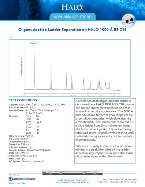 Oligonucleotide Ladder Separation