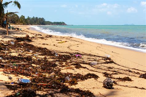 바다 모래 해변의 쓰레기 분류되지 않은 쓰레기 비닐 봉지 유리 병 금속 캔 쓰레기 쓰레기 더미 쓰레기 더러운 바닷물 환경 오염 생태 문제 개념 폐기물 관리 0명에 대한 스톡